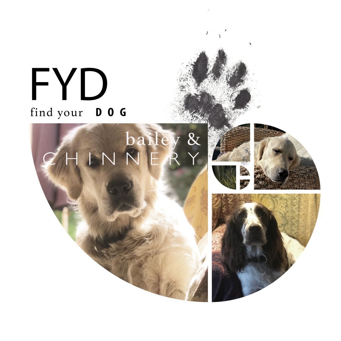 Introduction to Doug Chinnery and Valda Bailey and abstract ...